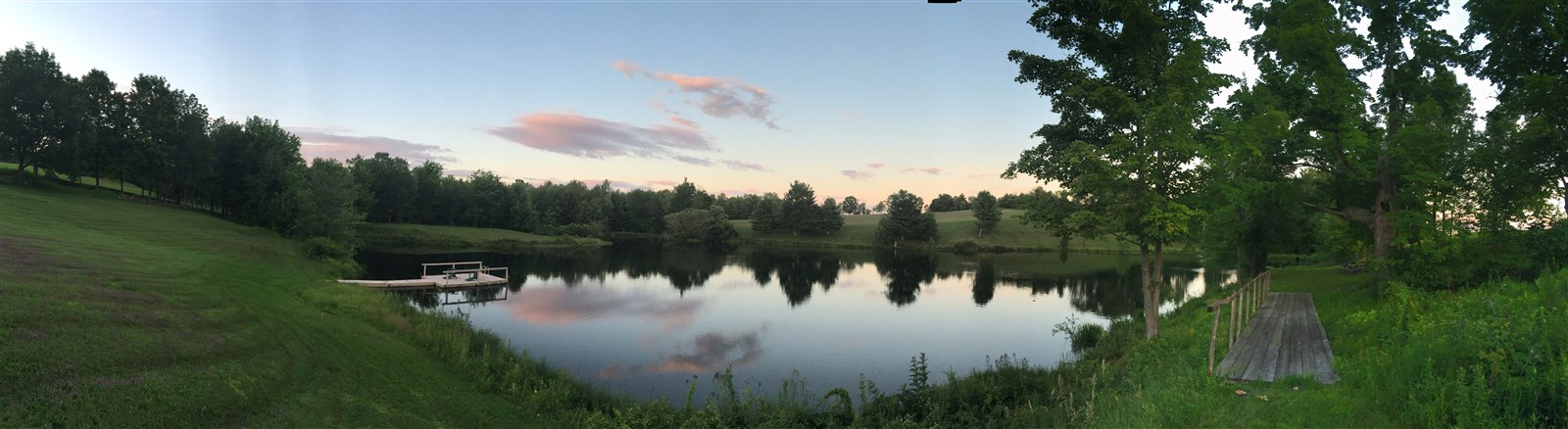 SUSAN SIMONSON | Songtradr Profile