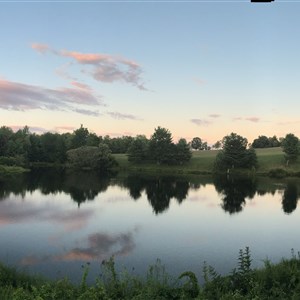 SUSAN SIMONSON | Songtradr Profile