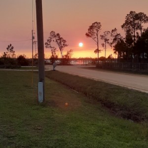 LARRIA FARMER | Songtradr Profile
